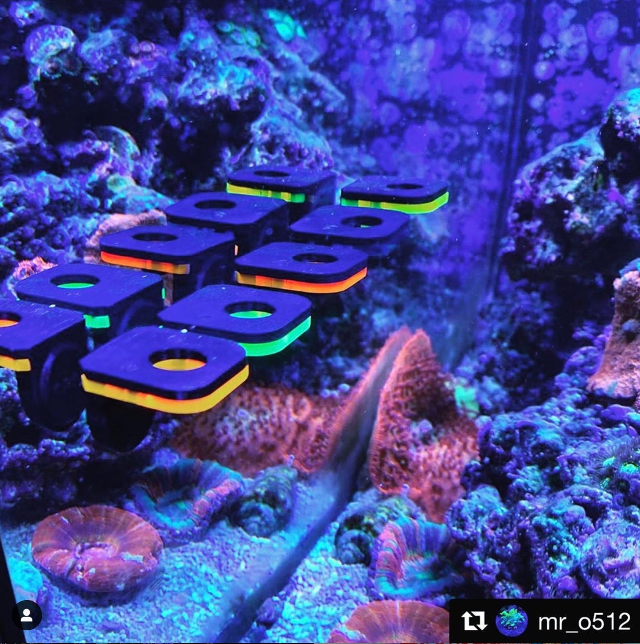 Rofee Reef Single Frag Rack 3 Pack | Lifestyle Aquarium & Reptiles