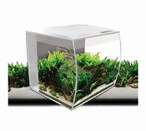 Fluval Flex 57 Lts (White) | Lifestyle Aquarium & Reptiles